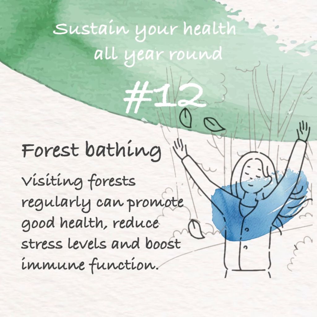 The Outdoor Habit Your Immune System Loves: Forest Bathing - AcuMedic ...